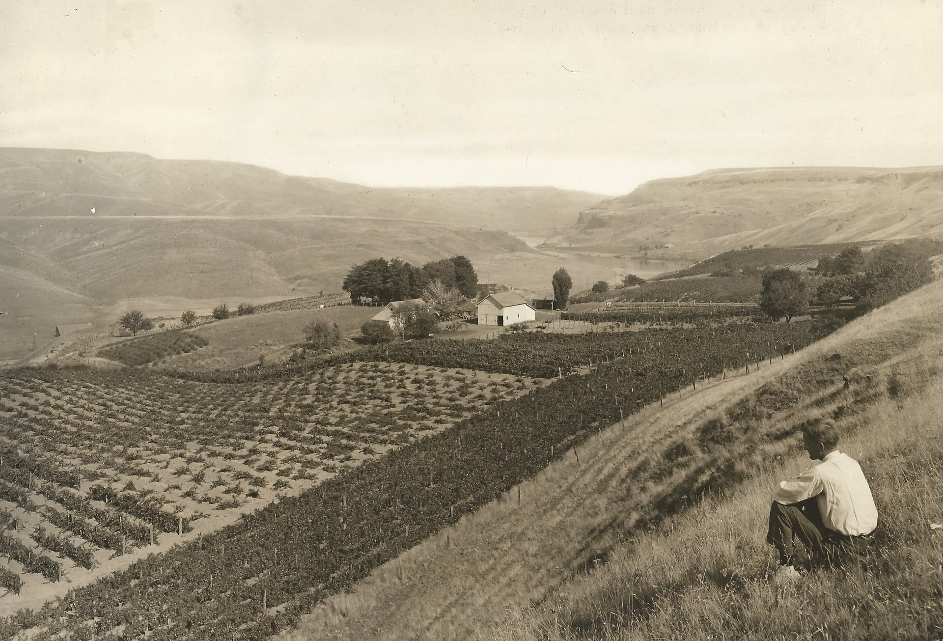 Lewis-Clark Valley History - Clearwater Canyon Cellars
